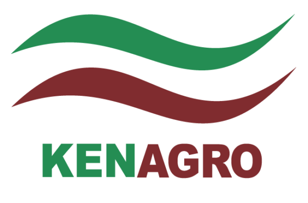 Kale Farming in Kenya: A Guide for Beginners