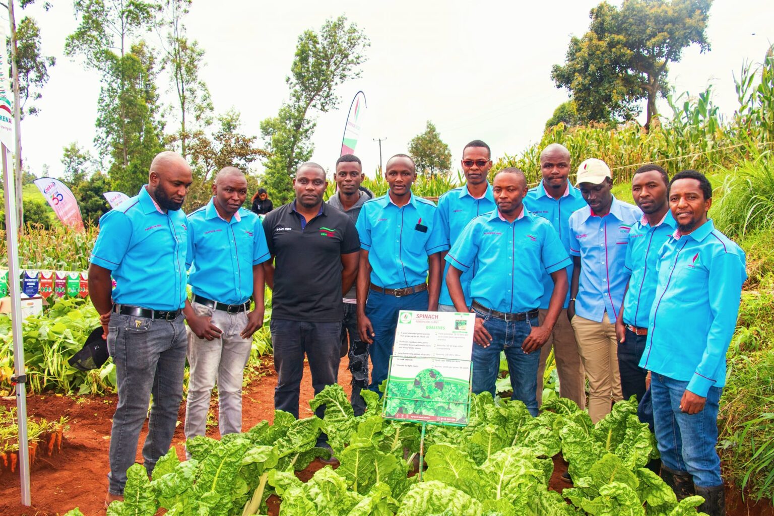 Kenagro Suppliers Limited | Agrochemicals & Crop Solutions